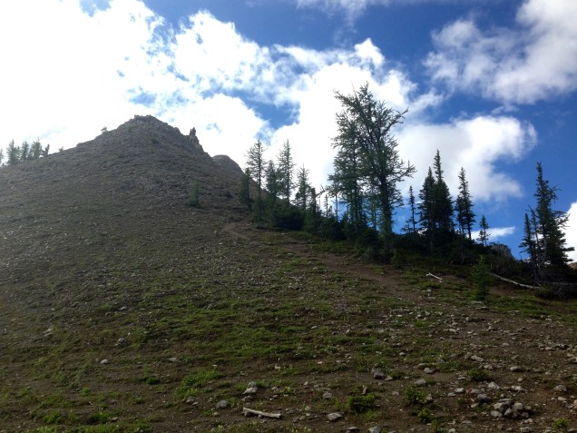 Tent Ridge. Wow. – Canmore Runner
